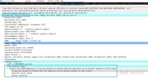 Understanding TCP Port Numbers Reused in Wireshark: Analysis and Examples - Ax3soft