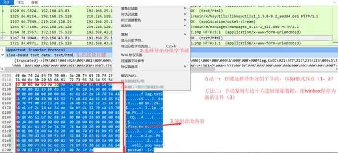 Mastering Advanced Wireshark Traffic Analysis And Base64 Url Encoding Conversion Techniques